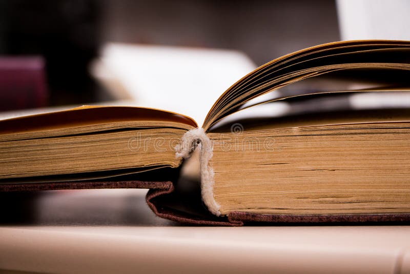 Open book on the table stock image. Image of girl, cute - 151149341