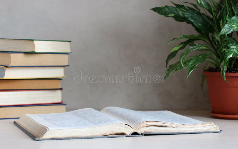 Open Book, Textbook on the Table in the Interior. Stock Photo - Image ...