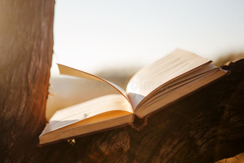 Open book on tree stock image. Image of environment, color - 47925931