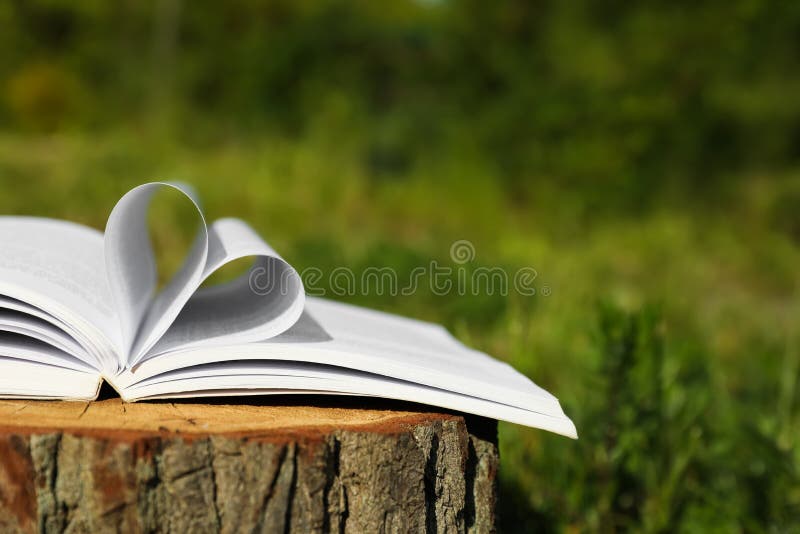 Open Book on Tree Stump Outdoors, Closeup. Space for Text Stock Photo ...
