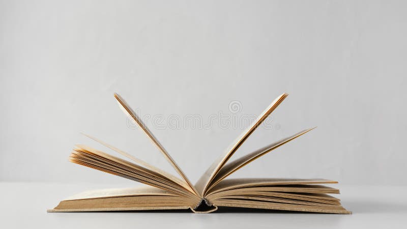 Open Book Leaves . High Quality and Resolution Beautiful Photo Concept ...