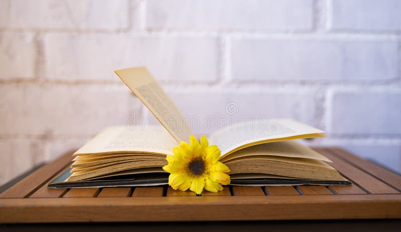 496 Open Book Turning Pages Stock Photos - Free & Royalty-Free Stock ...