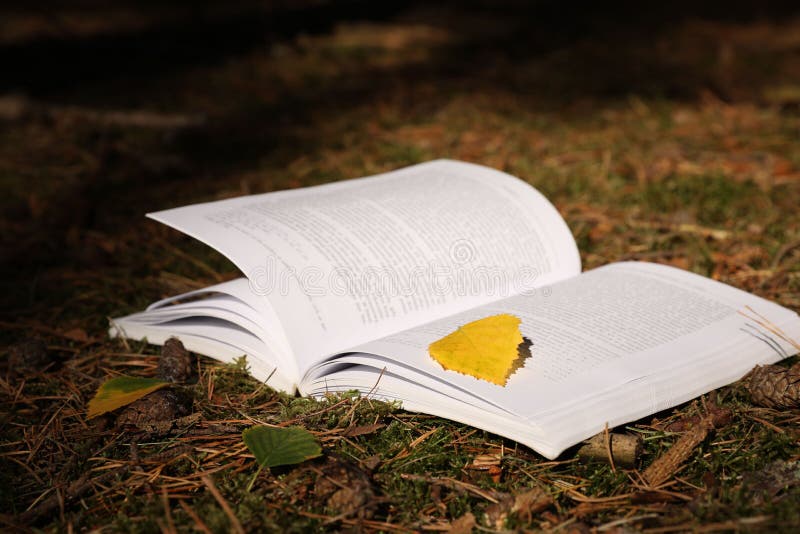 Open Book and Yellow Leaf on Grass Outdoors Stock Image - Image of ...