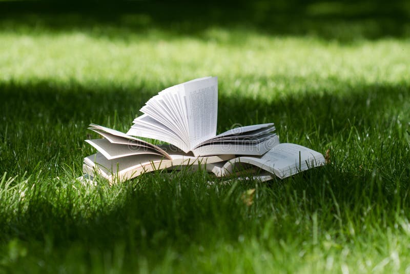 Books on the Grass stock image. Image of heap, books - 74099567