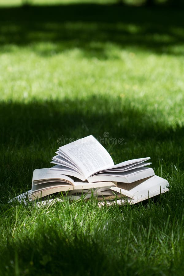 1,426 Open Books Outdoor Stock Photos - Free & Royalty-Free Stock ...