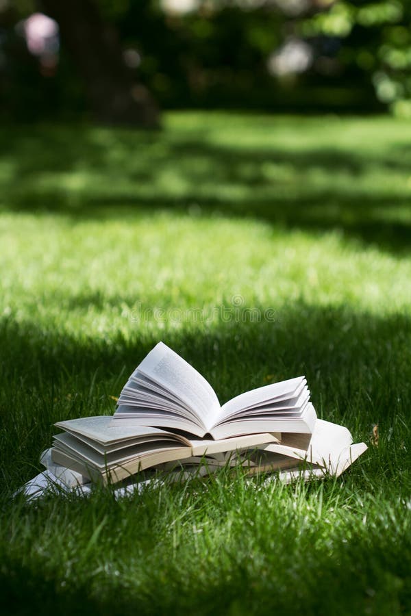 Open Books on Grass in a Green Park Stock Photo - Image of rural, heap ...
