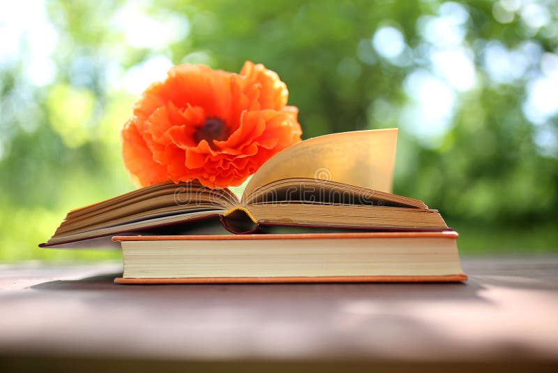 1,077 Open Books Outdoor Photos - Free & Royalty-Free Stock Photos from ...