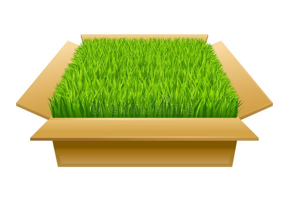 Open box with green grass stock vector. Illustration of environment ...