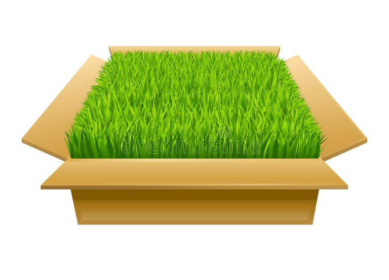 Open box with green grass stock vector. Illustration of environment ...