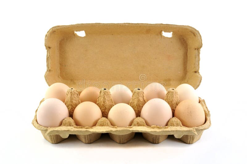 Eggs stock photo. Image of poultry, dairy, shell, protein - 21092812