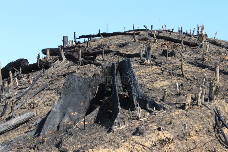 Open burning stock image. Image of global, landscape - 11745281