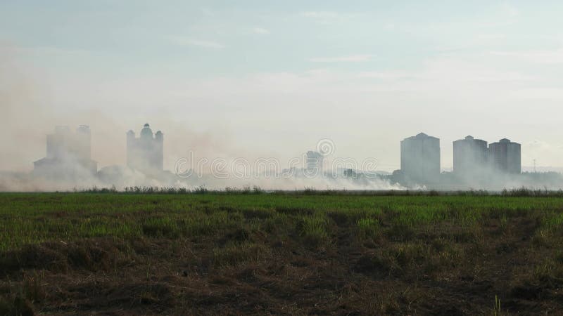 Open Burning Agricultural Waste Stock Footage - Video of agricultural ... Open Burning Agricultural Waste Stock Footage - Video of agricultural ...