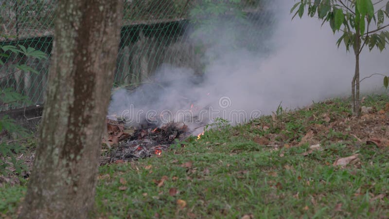Open Burning Agricultural Waste Stock Footage - Video of agricultural ... Open Burning Agricultural Waste Stock Footage - Video of agricultural ...