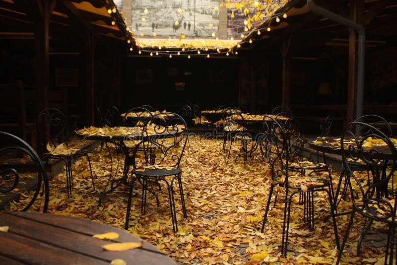 Open Cafe Yard with Table Full of Fallen Leaves Stock Photo - Image of ...