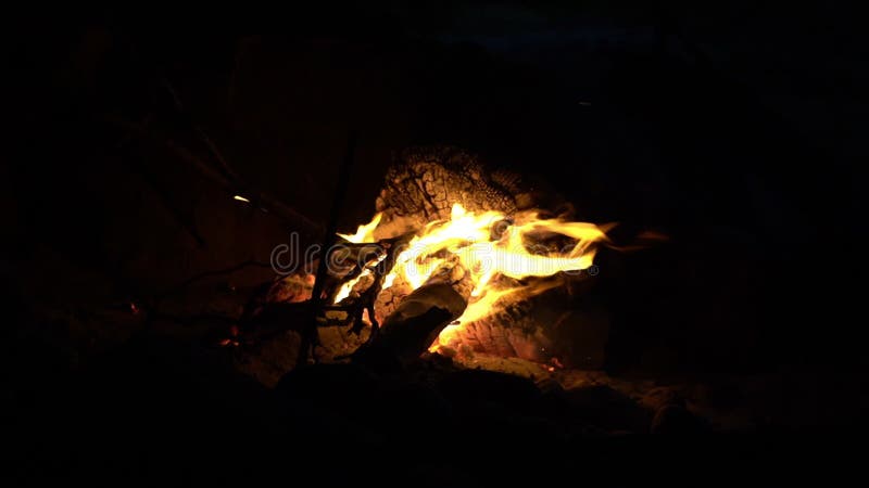 Campfire in a Fire Barrel at Night Stock Video - Video of high, fire ...