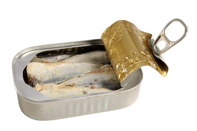 Open Can of Sardines stock photo. Image of nobody, container - 21493600 Open Can of Sardines stock photo. Image of nobody, container - 21493600