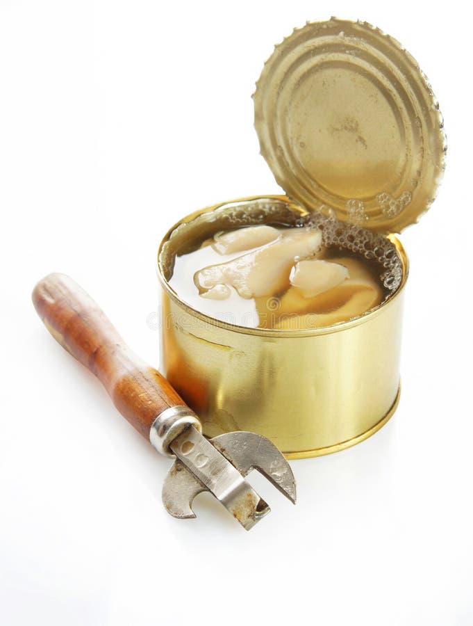 Open Can with Squid and an Opener Over White Stock Image - Image of ...