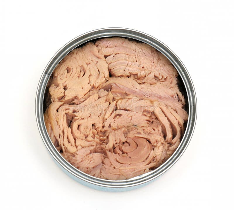 Open can of tuna stock photo. Image of canned, container - 148129474 Open can of tuna stock photo. Image of canned, container - 148129474