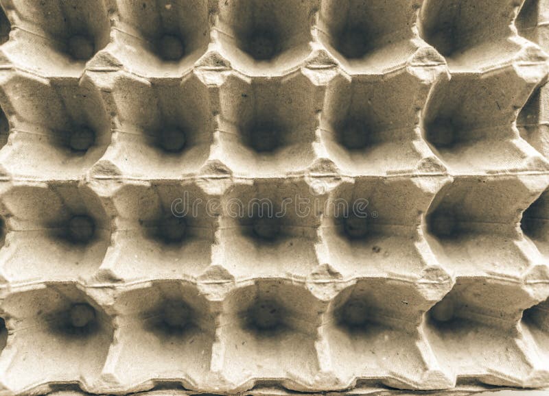 Open Cardboard Egg Box stock image. Image of cell, eggs - 152017067