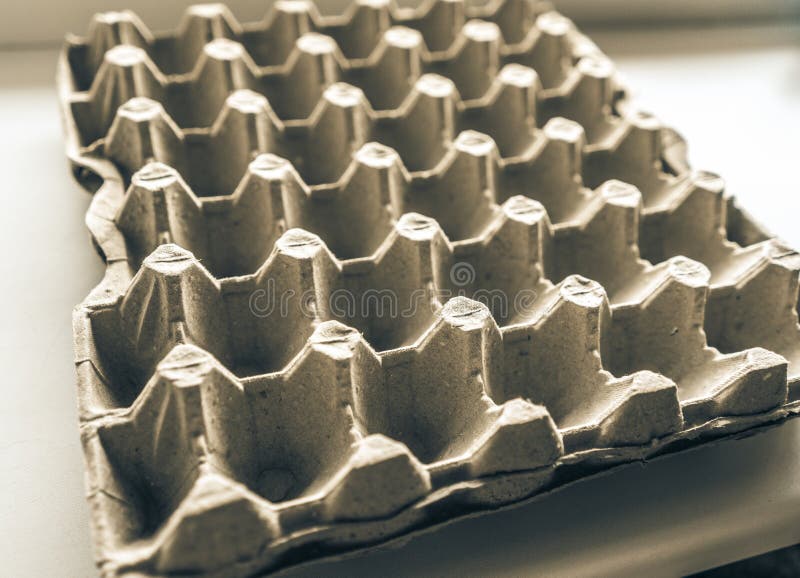 Open Cardboard Egg Box stock image. Image of fragile - 152017115