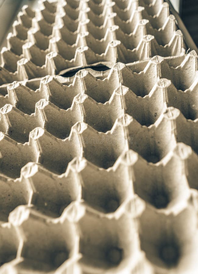 Open Cardboard Egg Box stock photo. Image of pollution - 152017124