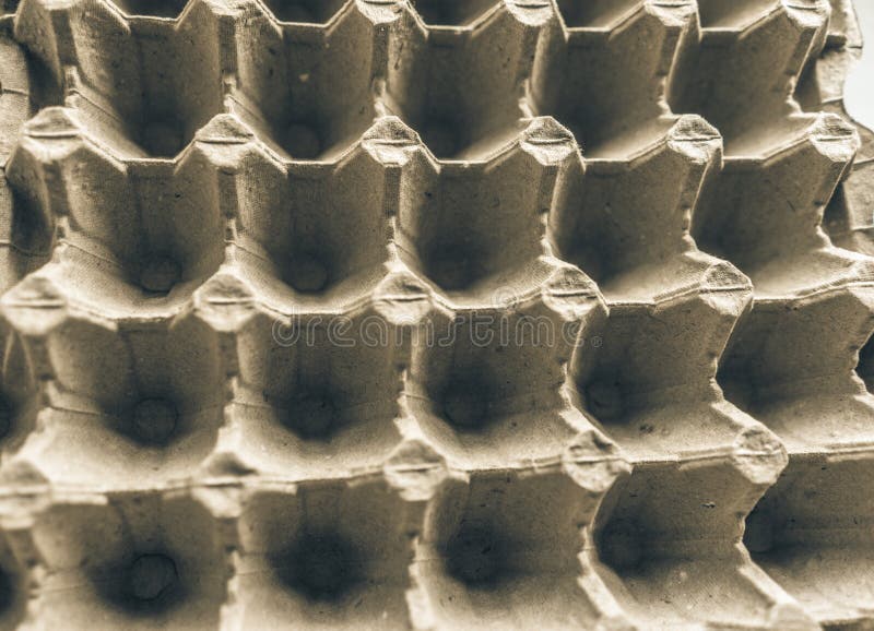 Open Cardboard Egg Box stock image. Image of pattern - 152017347