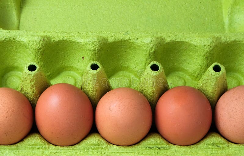Open Cardboard Package with a Row of Chicken Eggs Stock Image - Image ...