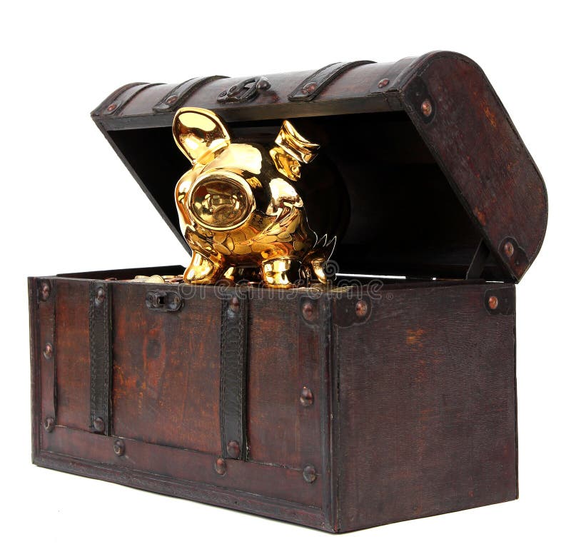 Treasure Chest with Snoopy Cat Stock Image - Image of white, tomcat ...