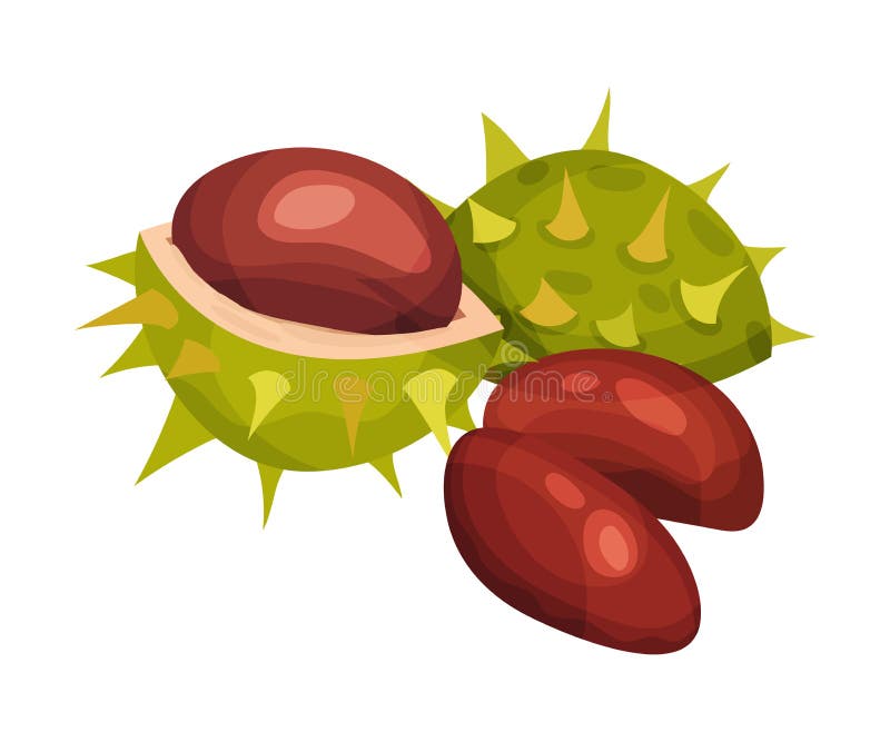 Chestnut Stock Illustrations – 46,442 Chestnut Stock Illustrations ...