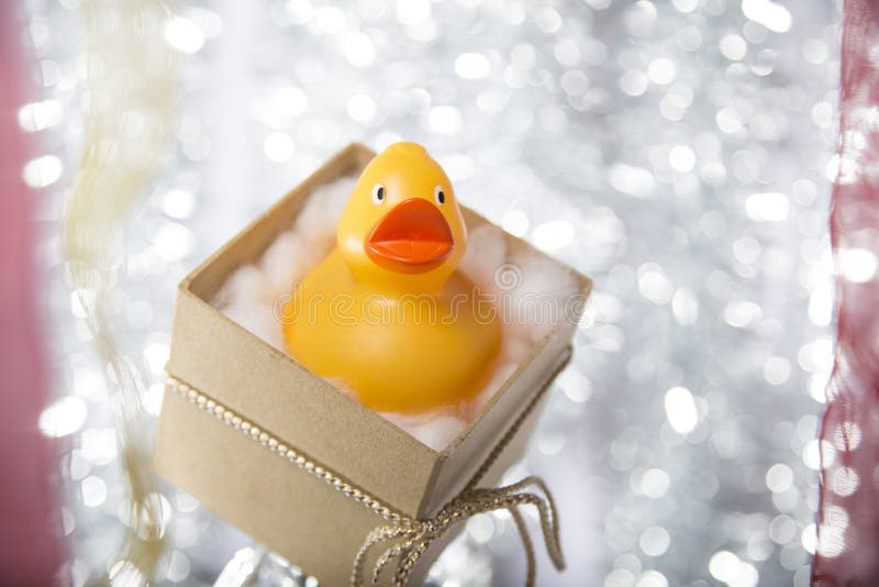 730 Duck Cardboard Box Stock Photos - Free & Royalty-Free Stock Photos ...