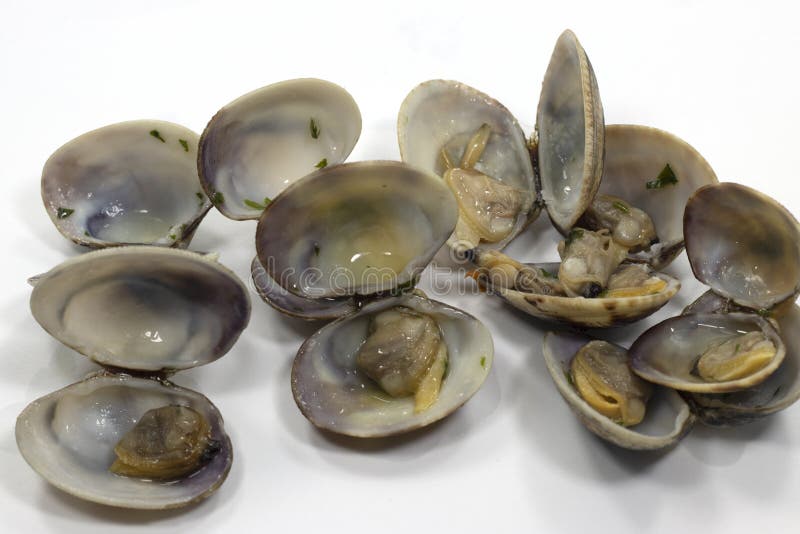 Open Shellfish Seafood Pasta Sauce Stock Photo - Image of shell, white ...