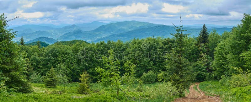 An Open Clearing and a Wooded Mountainside. the Dirt Road Stock Photo ...