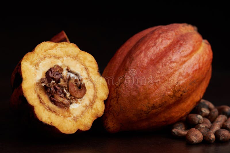 1,711 Open Cacao Pod Stock Photos - Free & Royalty-Free Stock Photos ...