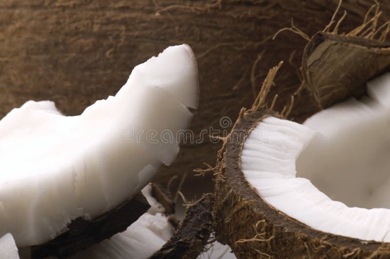 Open coconut stock image. Image of vegetable, details - 2492633