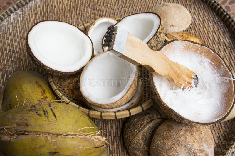 Open Coconut with Coconut Peel Stock Photo - Image of green, garden ...