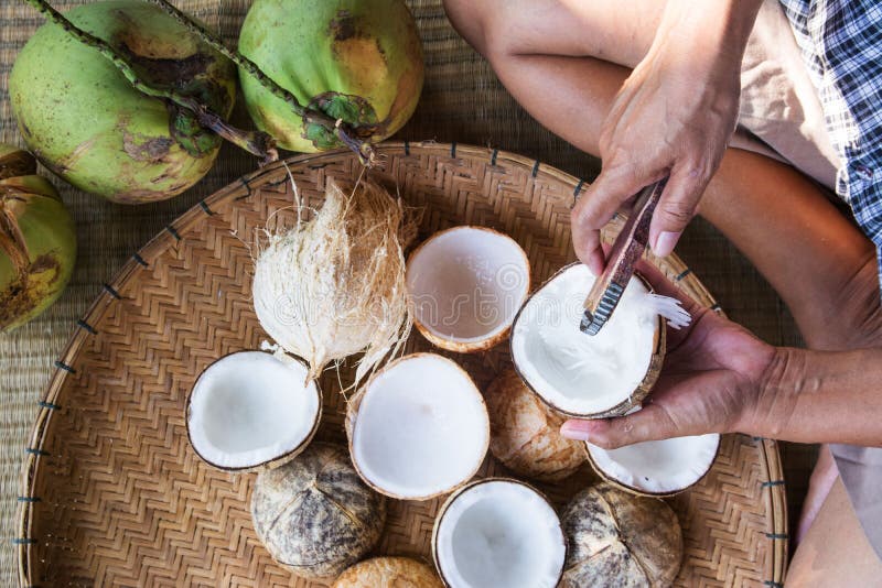 Open Coconut with Coconut Peel Stock Image - Image of coconut, green ...