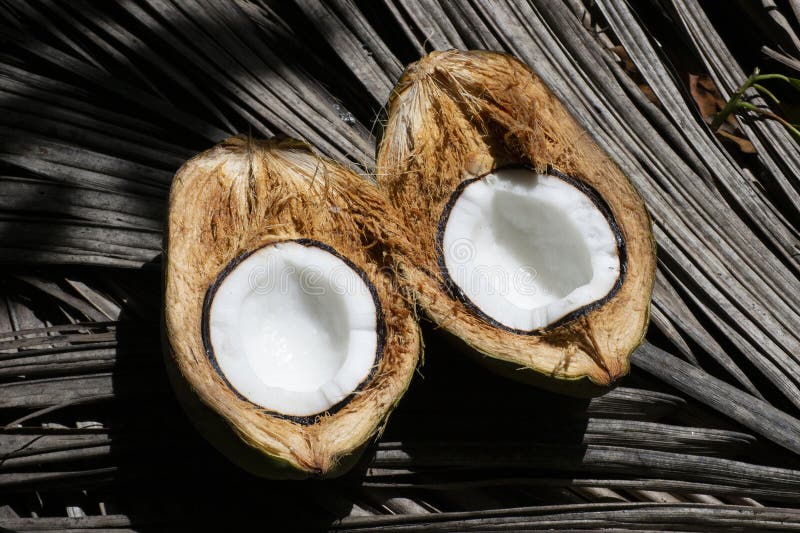 Open Coconut Fruit with Its White Pulp Exposed Under a Dry Leaf of a ...