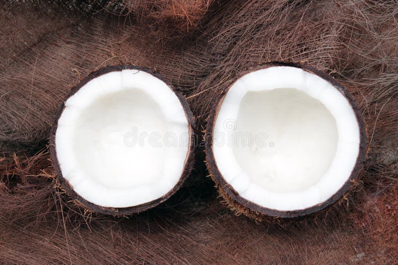 Open coconut stock image. Image of open, coconut, gastronomy - 31442819