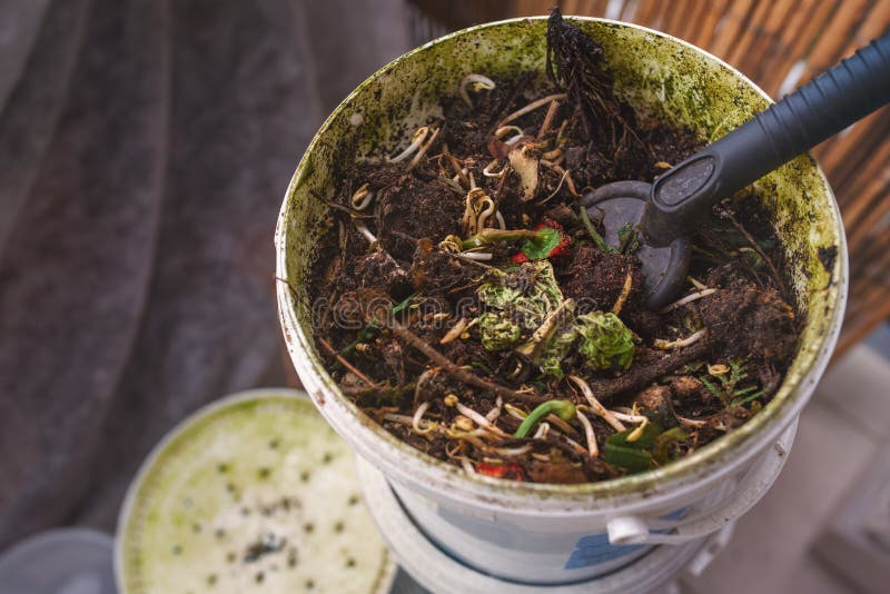 An Open Container with Topped Compost on the Apartment Balcony. Stock ...
