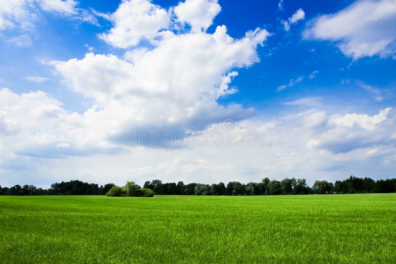 Open country stock image. Image of open, field, plant - 16555659