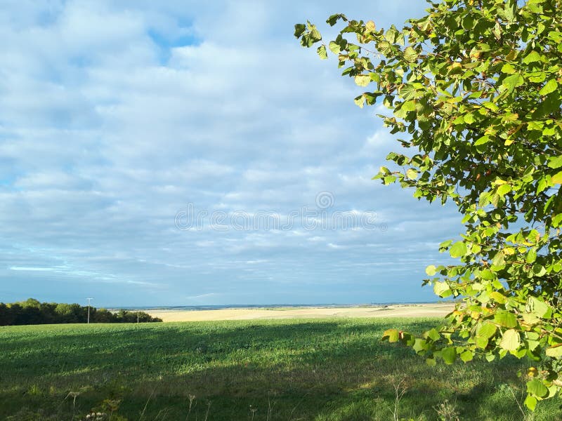 Open Countryside stock image. Image of open, view, landscape - 101776693