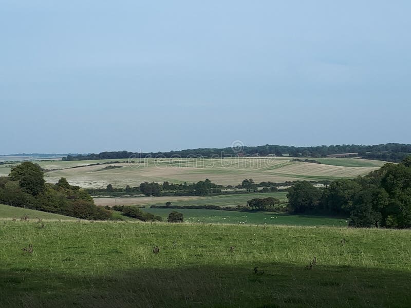 Open Countryside stock photo. Image of trees, landscape - 100611866