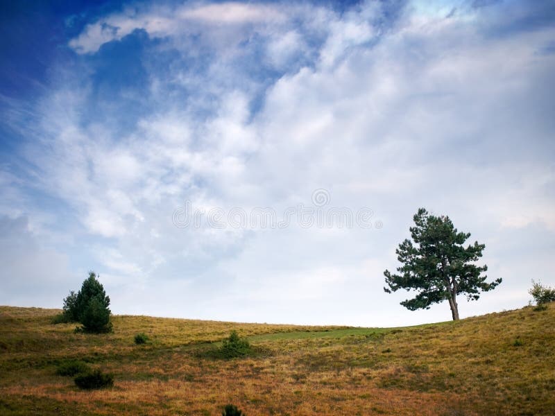 Open Countryside Horizon with Tree, Bush and Dramatic Blue and Cloudy ...