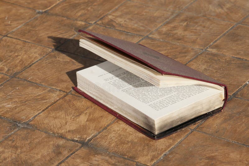 Libro De Lectura Stock Photos - Free & Royalty-Free Stock Photos from ...