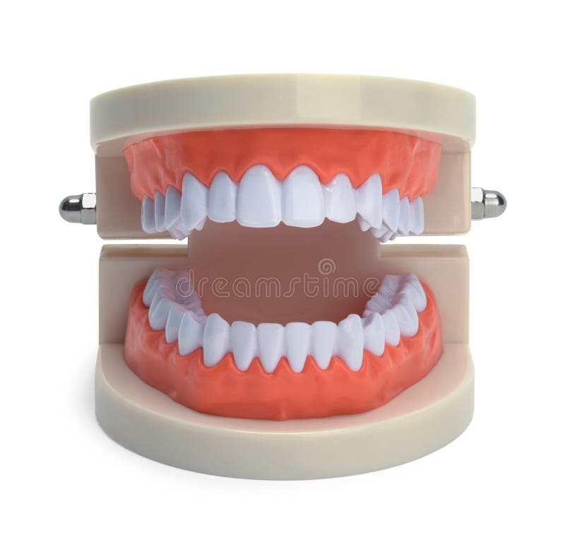 Open Dental Teeth stock photo. Image of plaster, dentures - 92477690