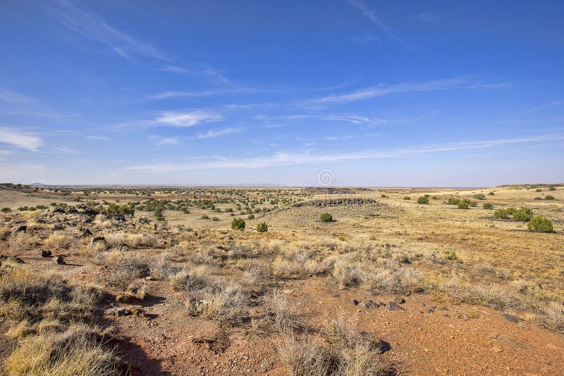 Open Desert Field in Arizona Stock Image - Image of field, environment ...