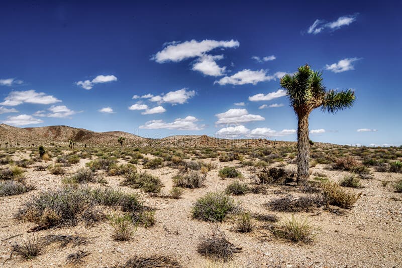 Open Desert Field with Beautiful Hills and a Cloudy Blue Sky in the ...
