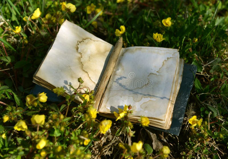 Open Diary Book with Empty Pages on the Grass in the Garden. Stock ...