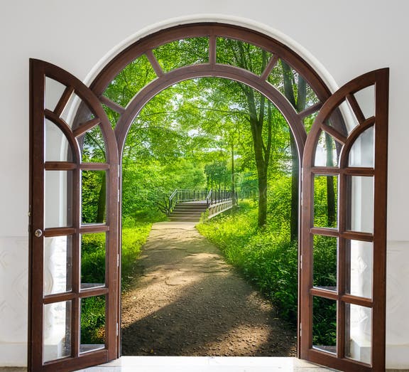 Open door ladder stock photo. Image of nature, office - 58568690