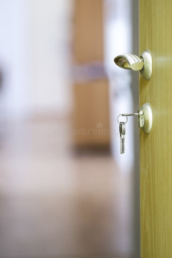 Open door with the lock stock image. Image of apartment - 127230361